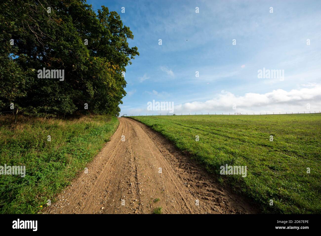 Farmland, sand, sandy soil, Norfolk Stock Photo - Alamy