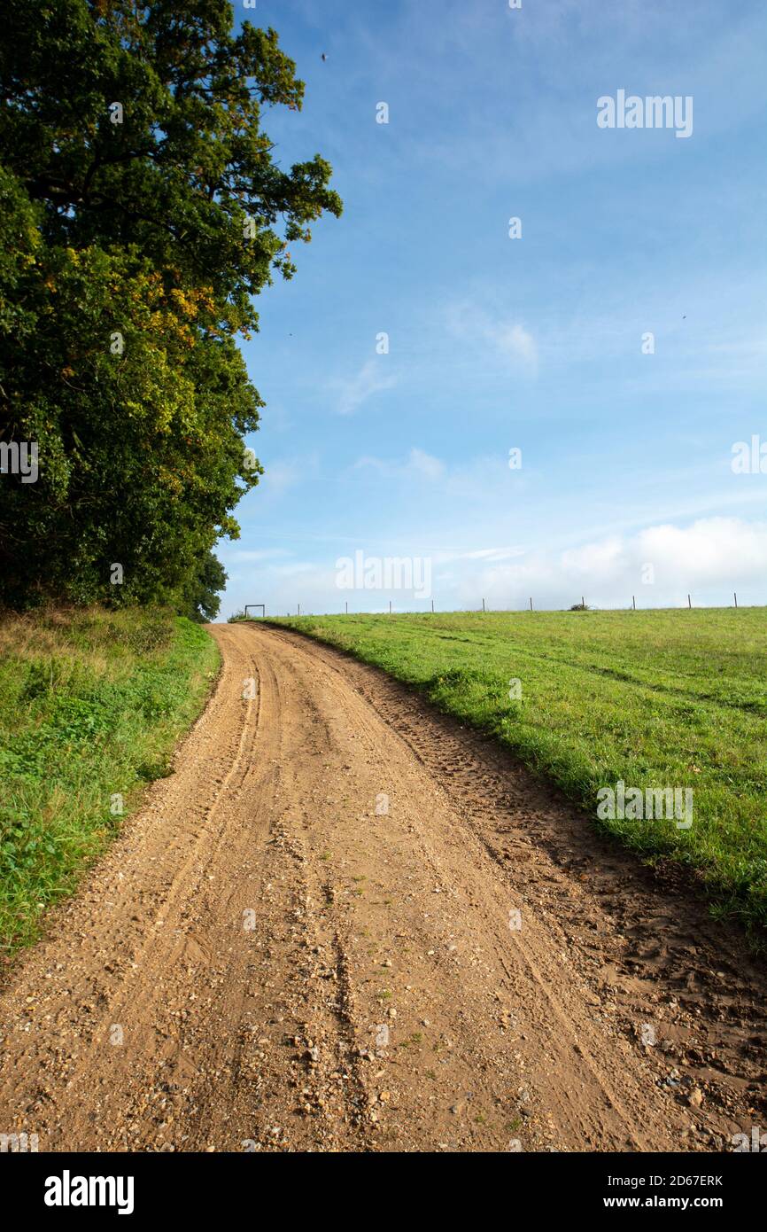Farmland, sand, sandy soil, Norfolk Stock Photo - Alamy