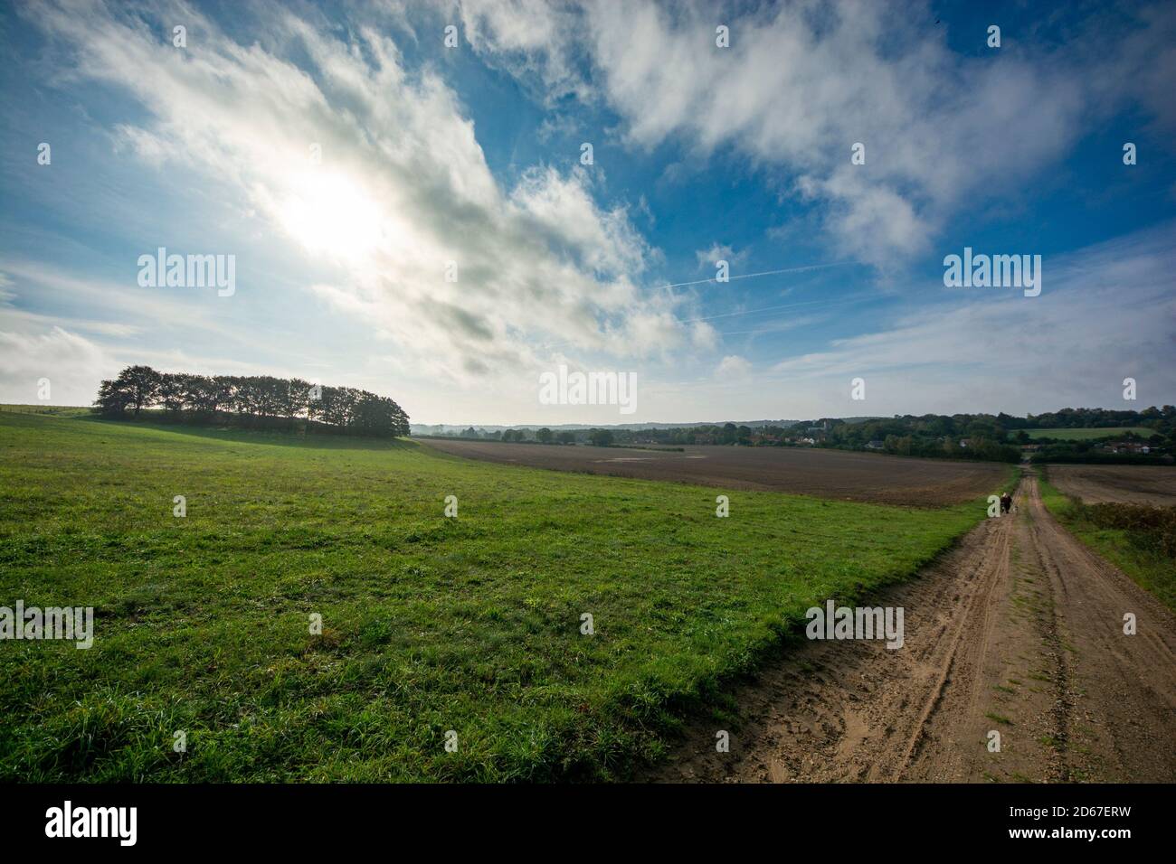 Farmland, sand, sandy soil, Norfolk Stock Photo - Alamy