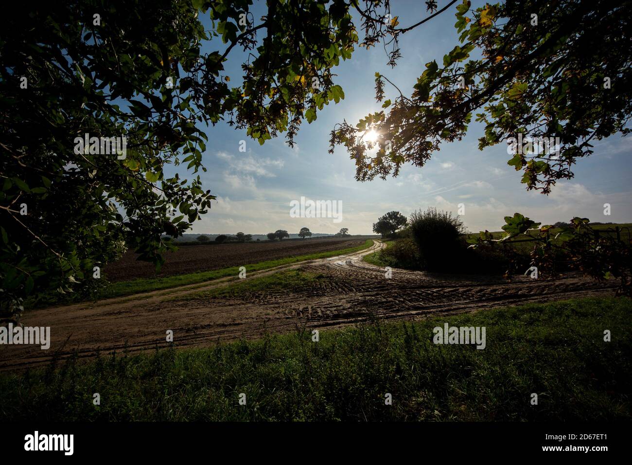 Farm track Norfolk Stock Photo - Alamy