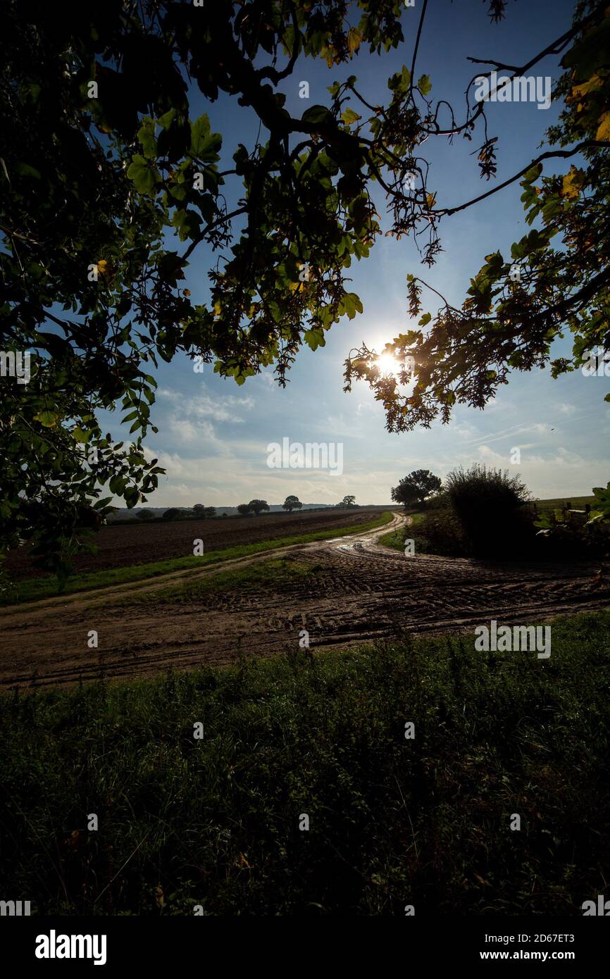 Farm track Norfolk Stock Photo - Alamy