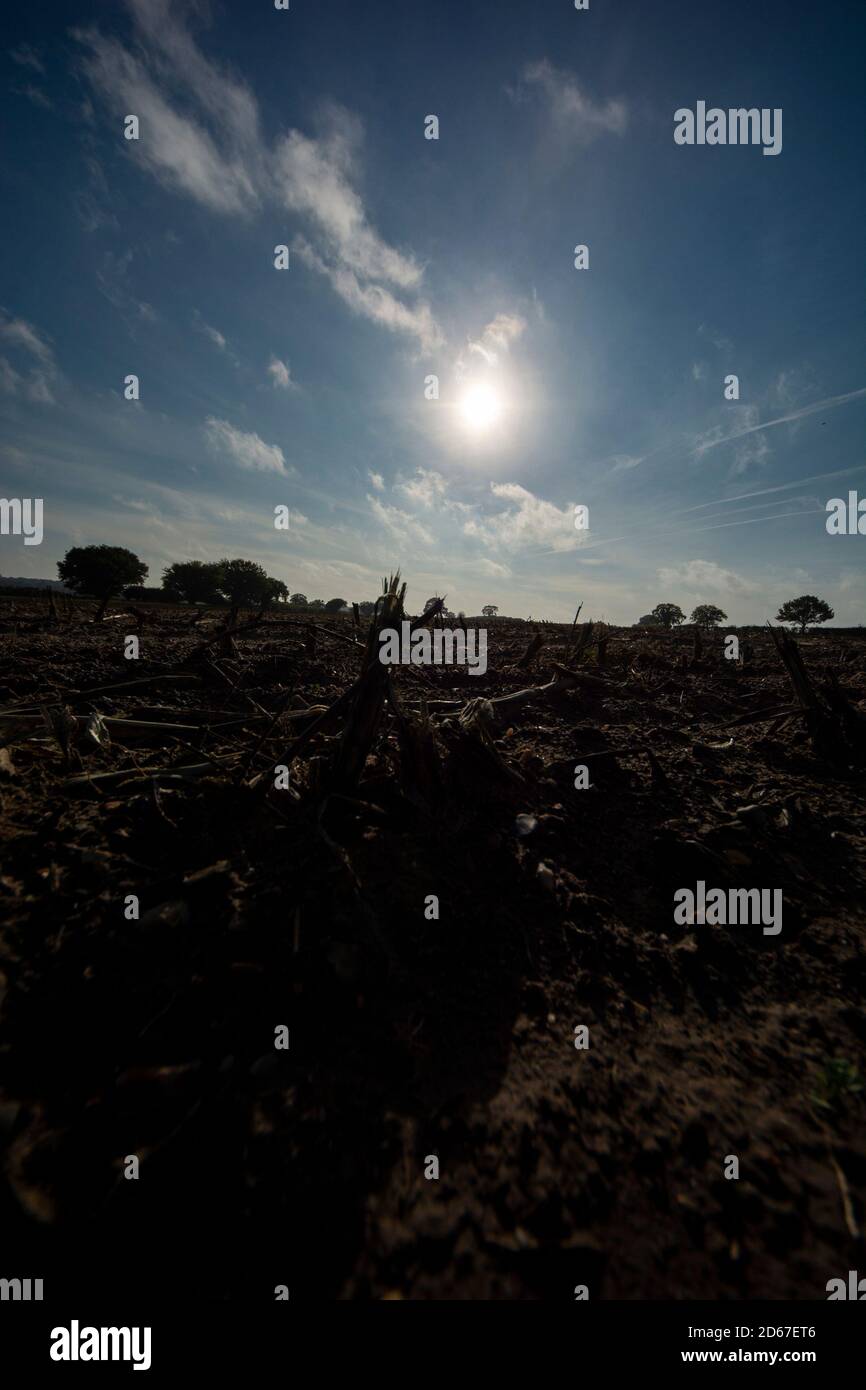 Fallowfield hi-res stock photography and images - Alamy