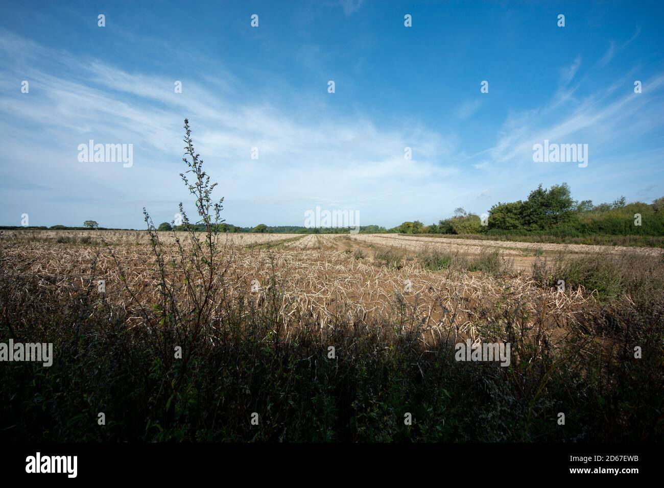 Fallowfield hi-res stock photography and images - Alamy