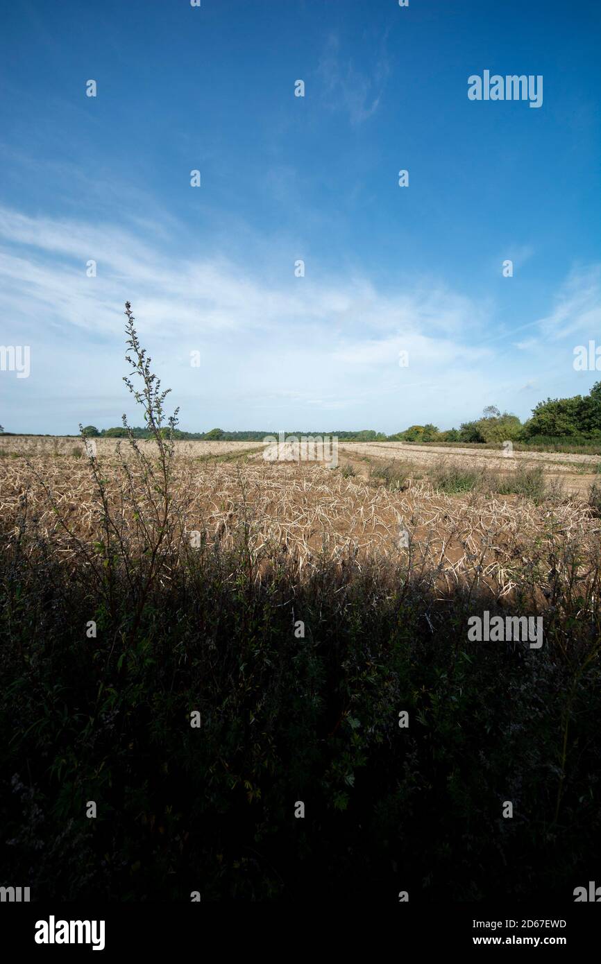 Fallowfield hi-res stock photography and images - Alamy