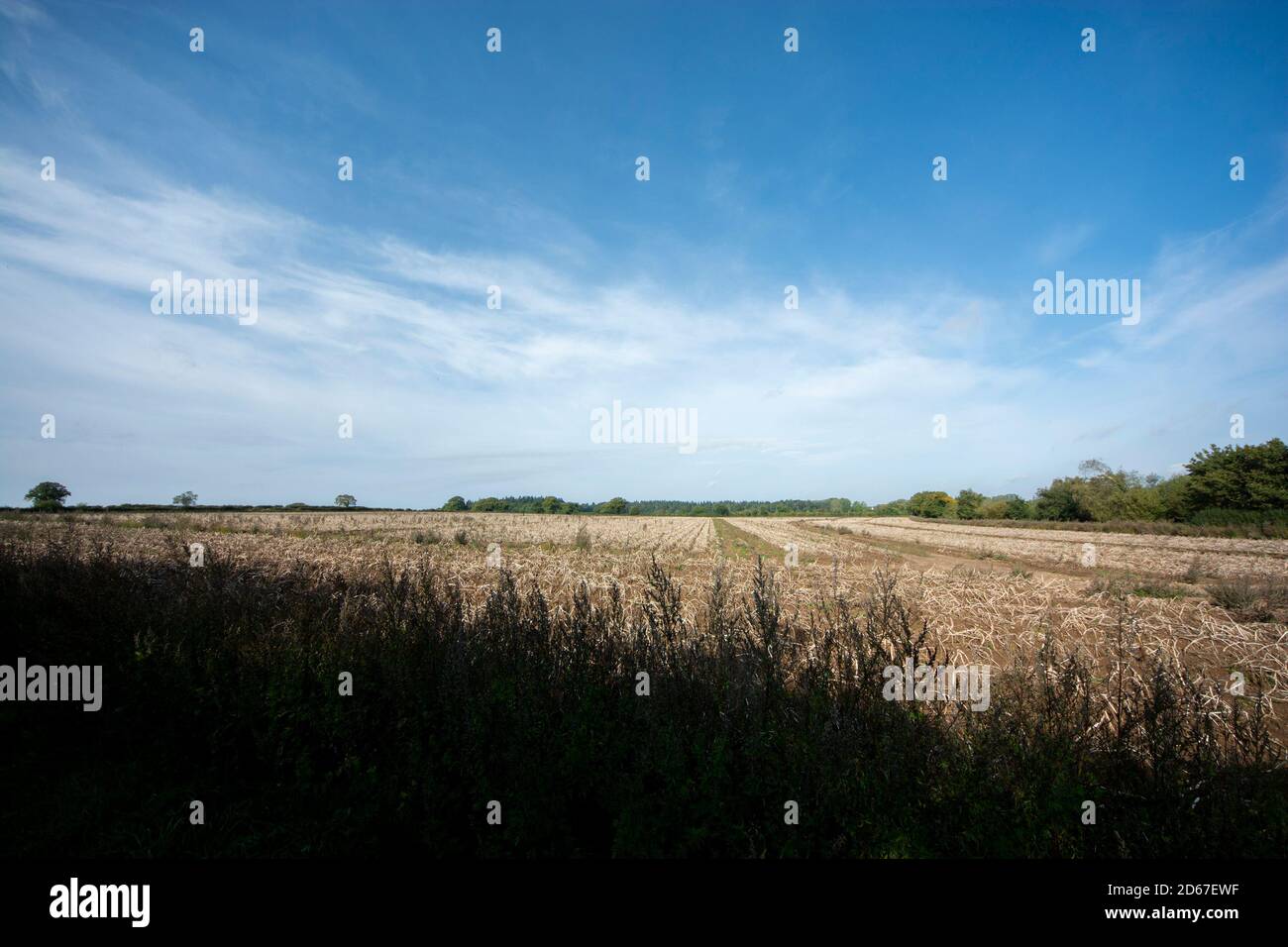 Fallowfield hi-res stock photography and images - Alamy