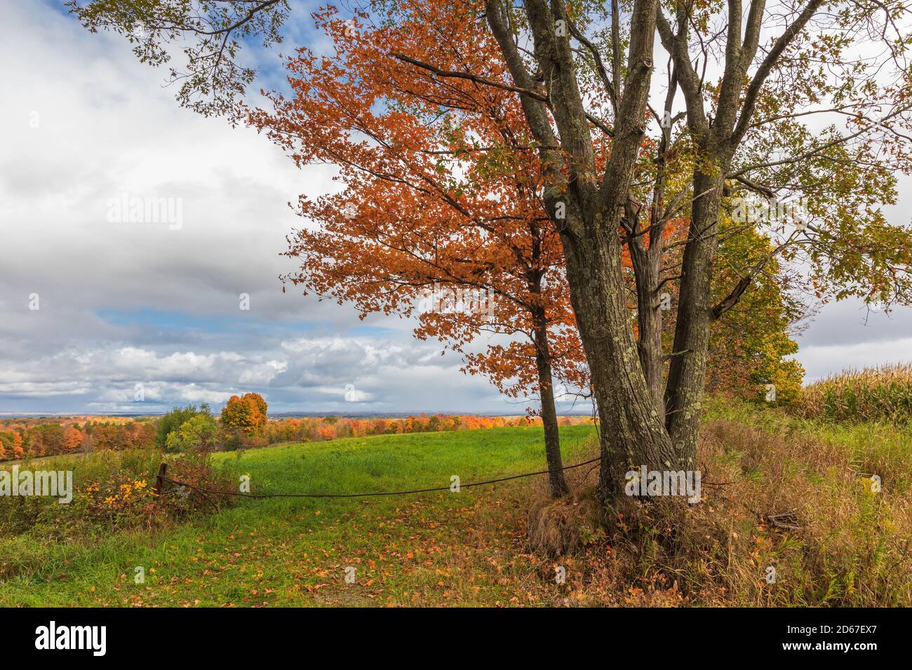 Pretty view hi-res stock photography and images - Alamy