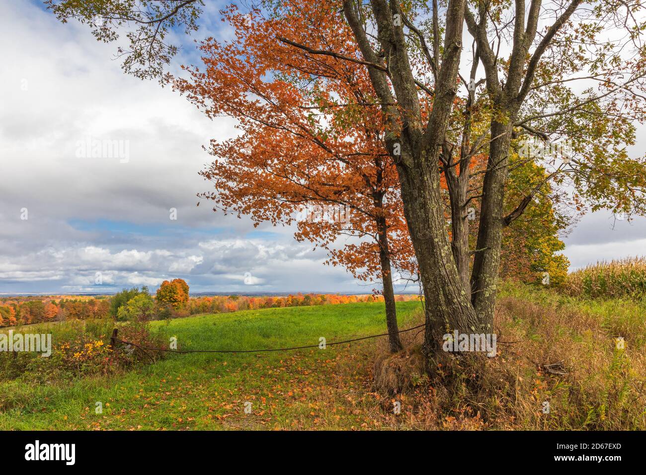 A beautiful autumn view in northern Wisconsin Stock Photo - Alamy