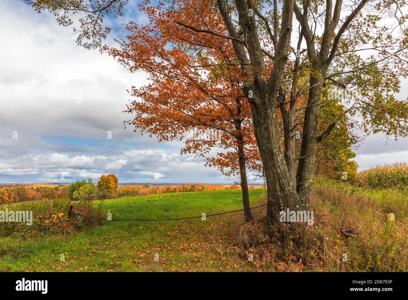 Beautiful pretty view scene landscape hi-res stock photography and ...