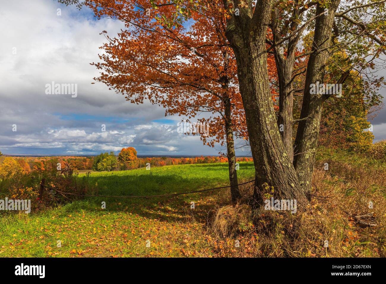 Beautiful pretty view scene landscape hi-res stock photography and ...