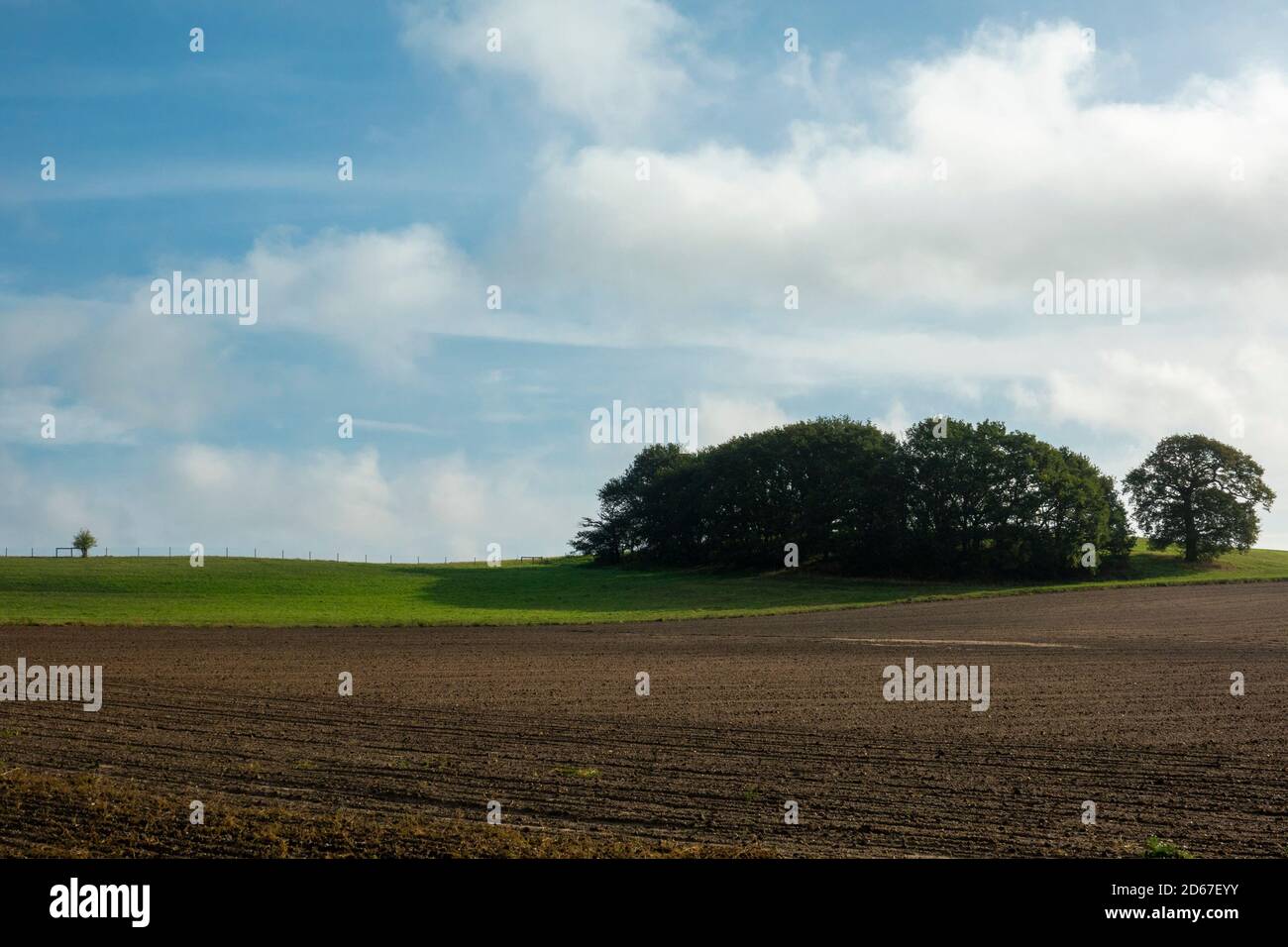 Copse on hill hi-res stock photography and images - Alamy