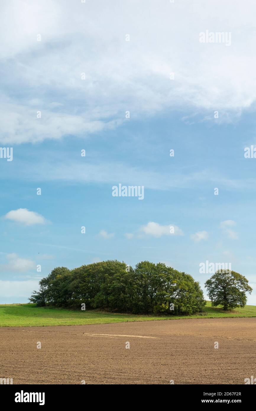 Copse on the hill hi-res stock photography and images - Alamy