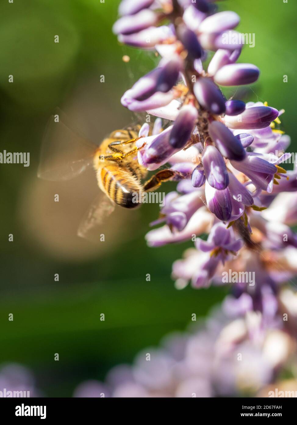 Rapid propulsion hi-res stock photography and images - Alamy