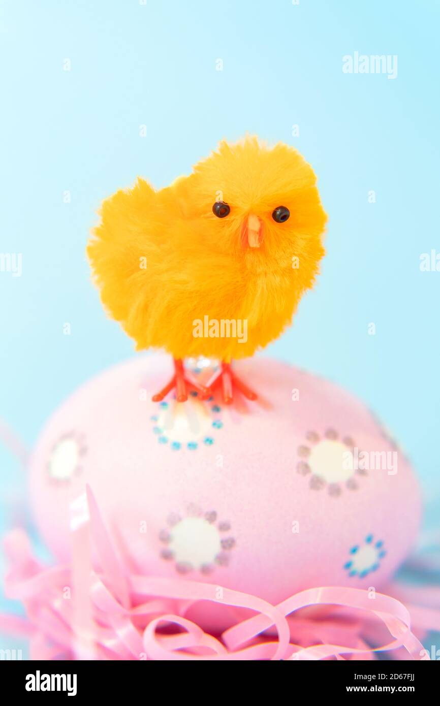 Pink chick hi-res stock photography and images - Alamy