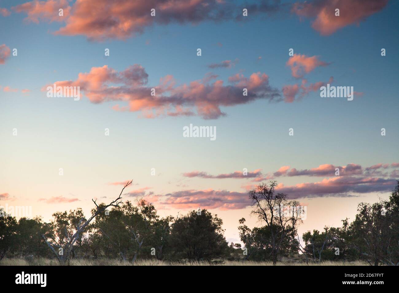Winton formation hi-res stock photography and images - Alamy
