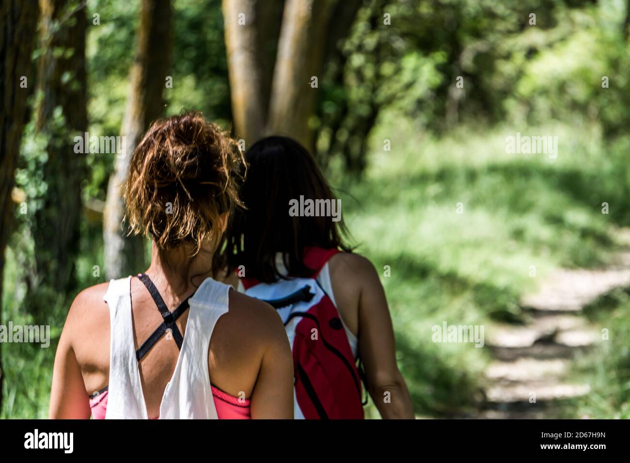 Back view of two young women walking through a forested area in summer ...