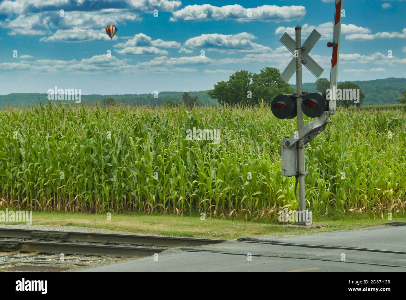 Corn field gate hi-res stock photography and images - Alamy
