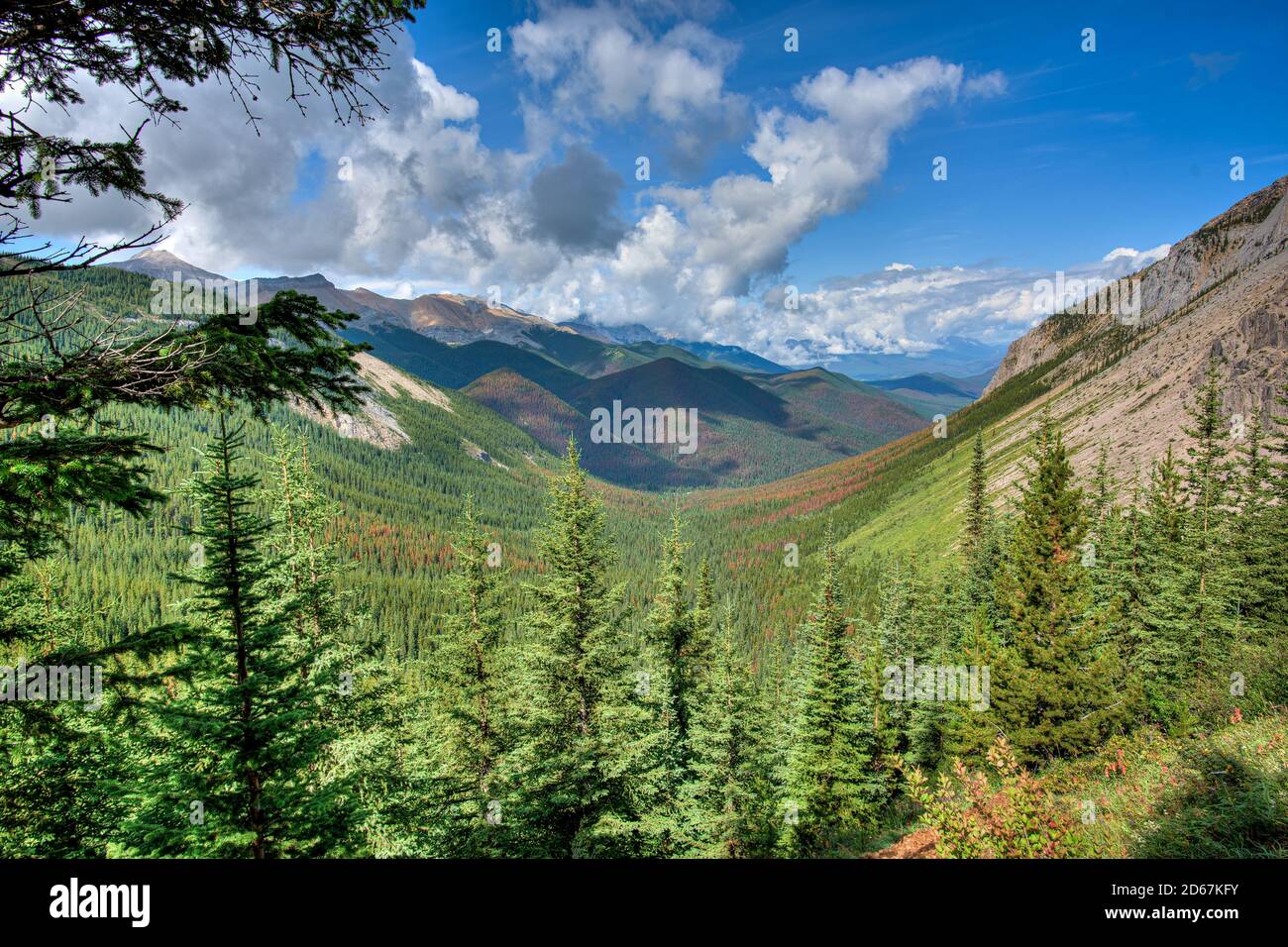 Jasper national part along the Sulpur Skyline Trail Stock Photo - Alamy