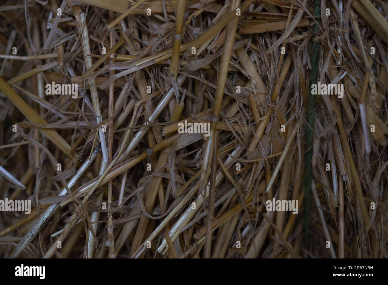 Close up straw bale hi-res stock photography and images - Alamy