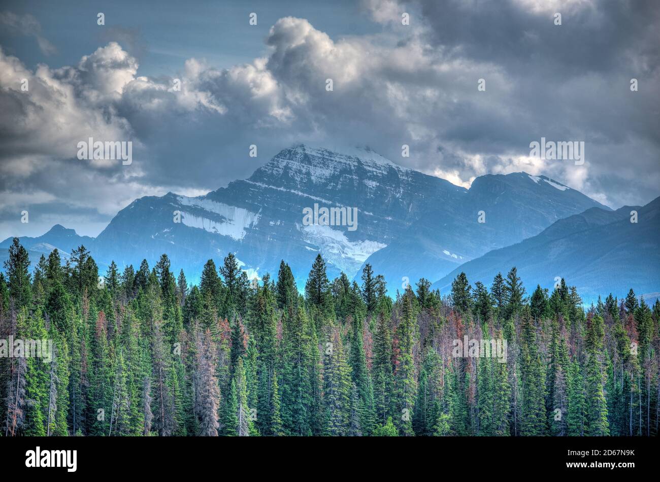 Annette lake trail hi-res stock photography and images - Alamy