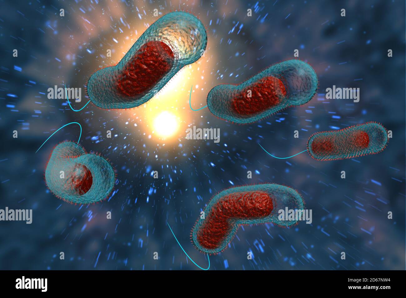 Close up 3D illustration of microscopic Cholera bacteria infection ...