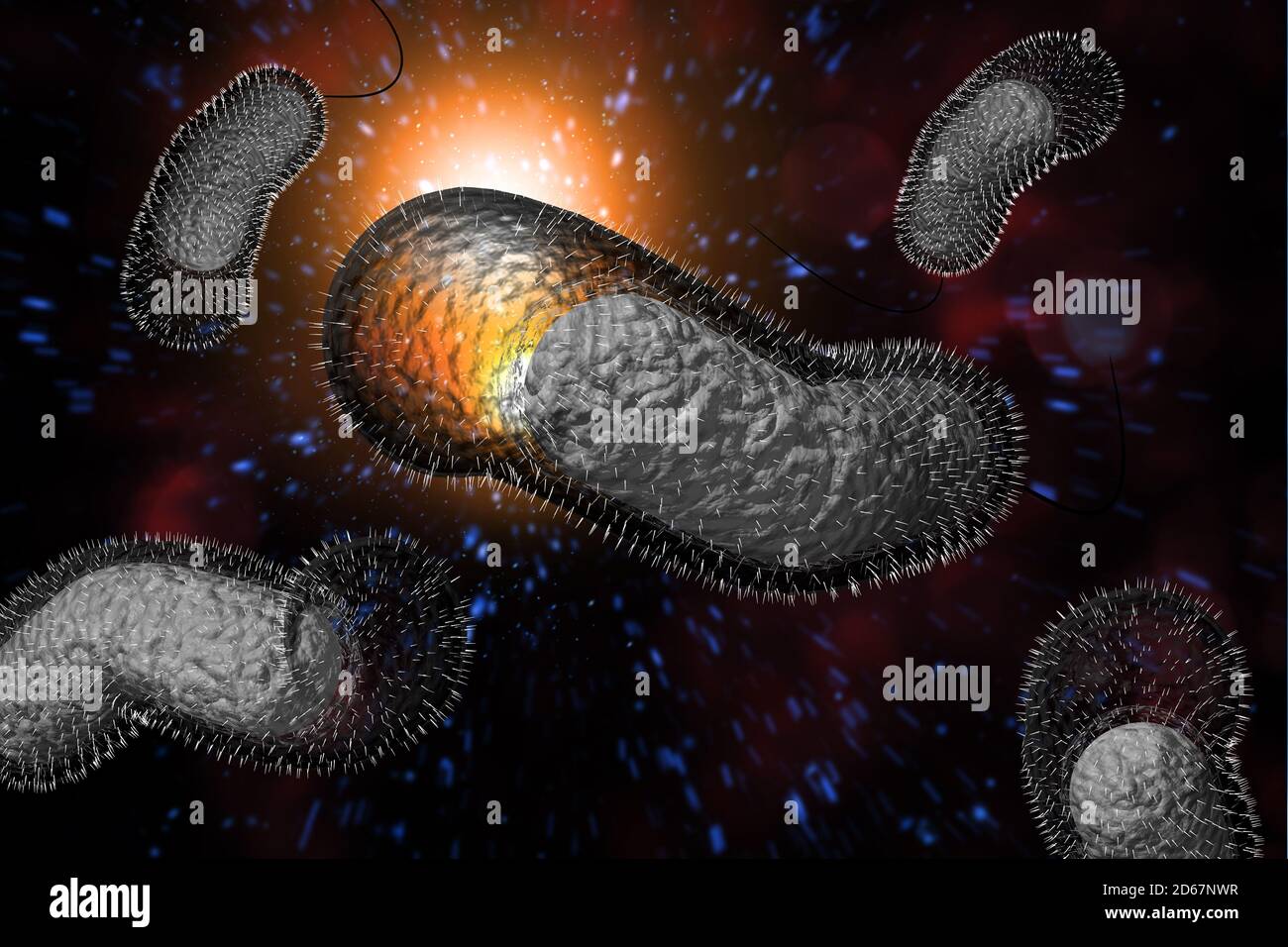 Close up 3D illustration of microscopic Cholera bacteria infection ...