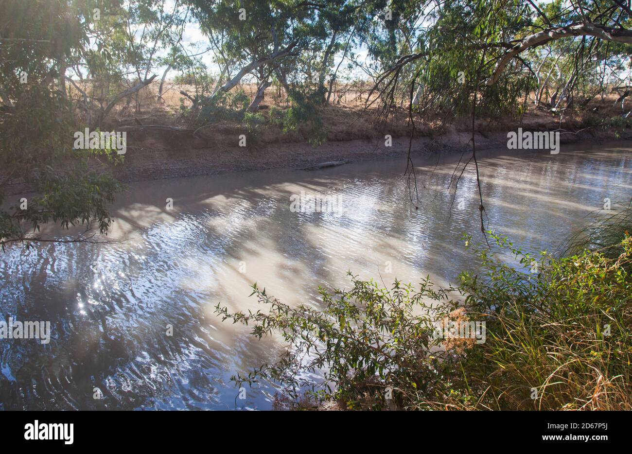 Tangled weeds hi-res stock photography and images - Alamy