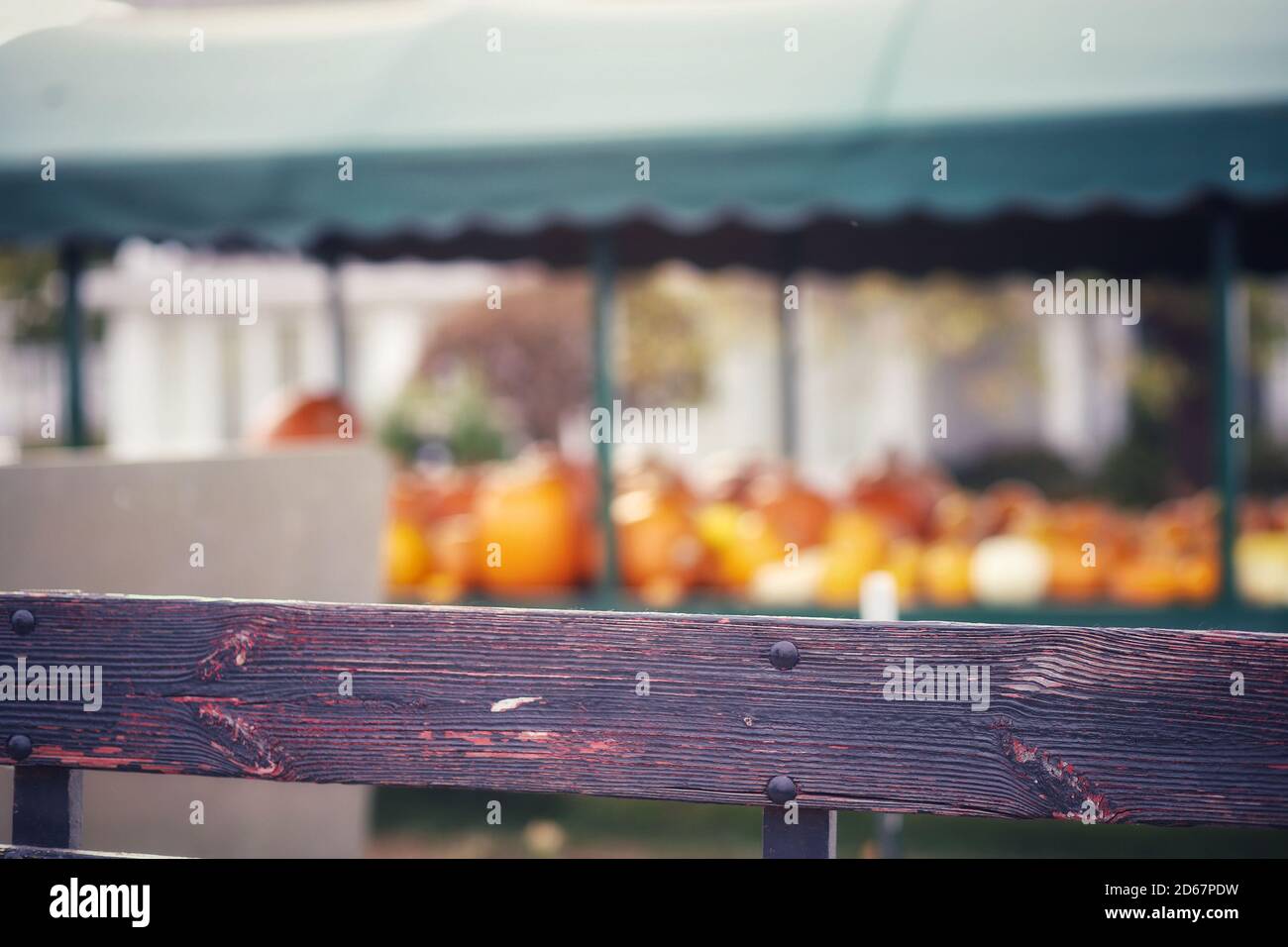 Hayride pumpkins hi-res stock photography and images - Alamy