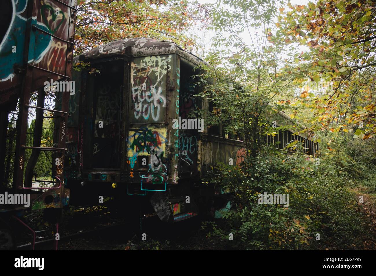 An abandoned train in the middle of a forest during autumn Stock Photo ...