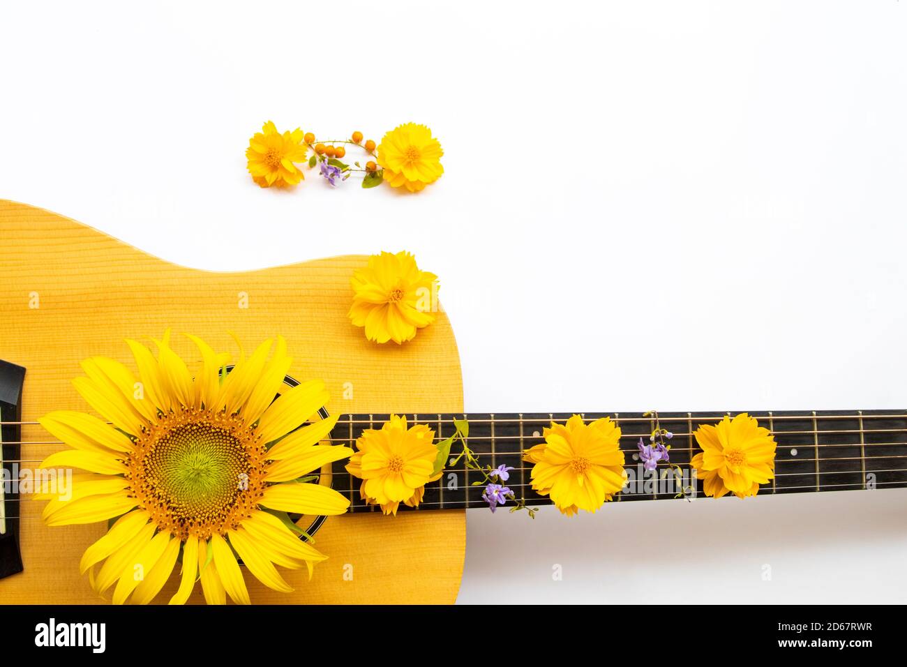 yellow flowers cosmos, sunflowers arrangement on acoustic guitar flat ...