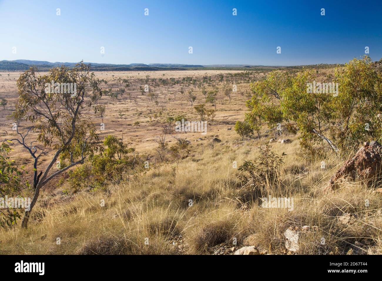 Riversleigh Fossil High Resolution Stock Photography and Images - Alamy