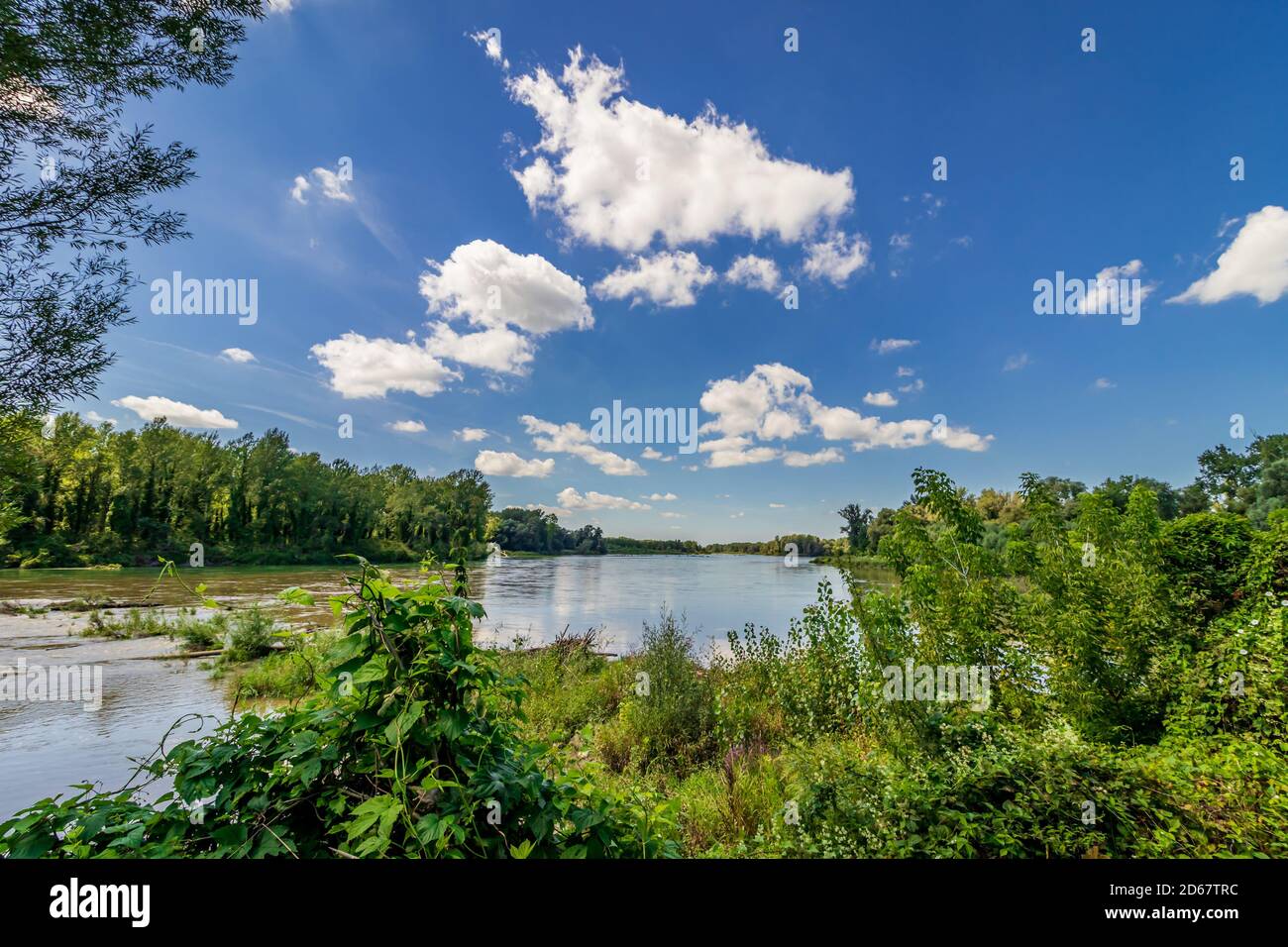 River Drava in Danube-Drava National Park (Duna-Dráva National Park ...