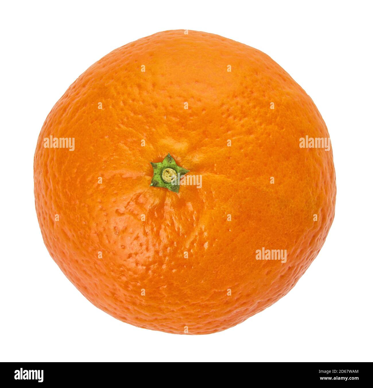 mandarin whole white isolated background with clipping path Stock Photo ...