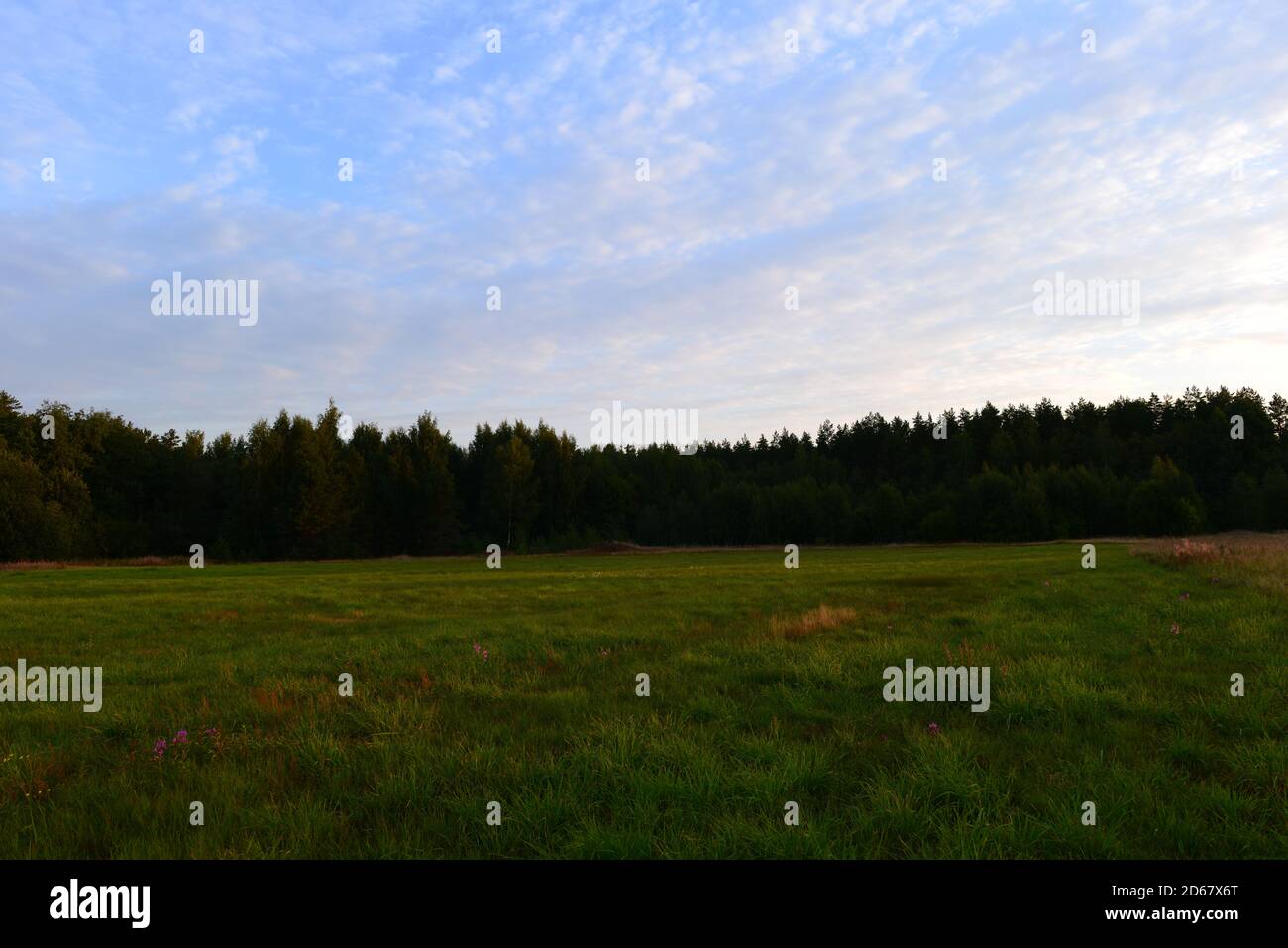 Path mowed in grass hi-res stock photography and images - Alamy