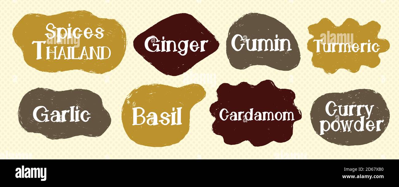 Speech text lable cuisine spice set. Collection design name designation ...