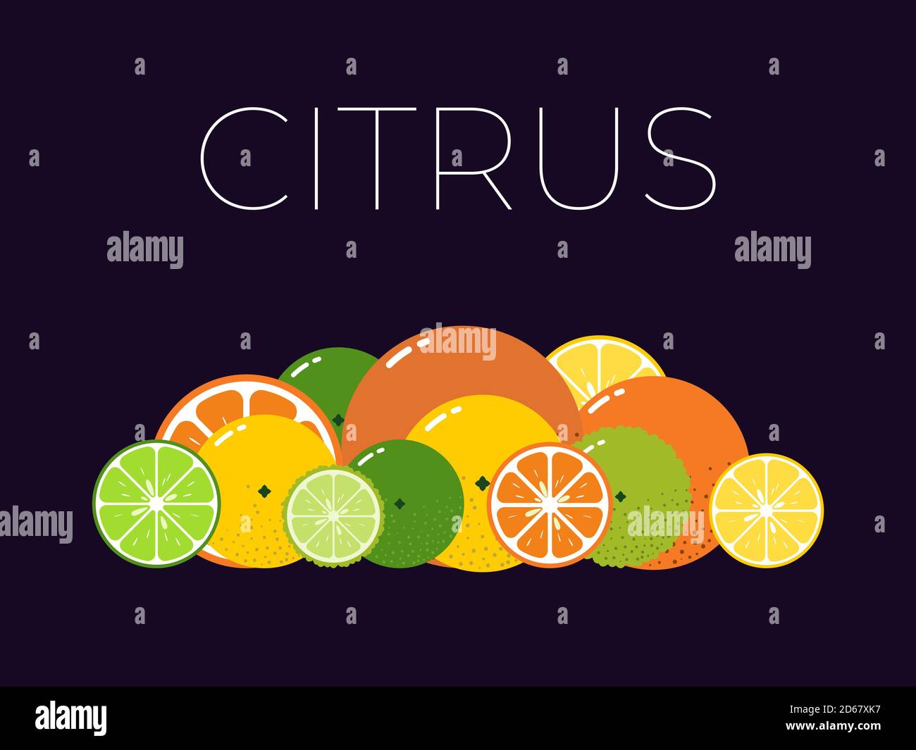 Vector Citrus Fruits pack and sliced half of Citrus on dark background Stock Vector Image & Art ...