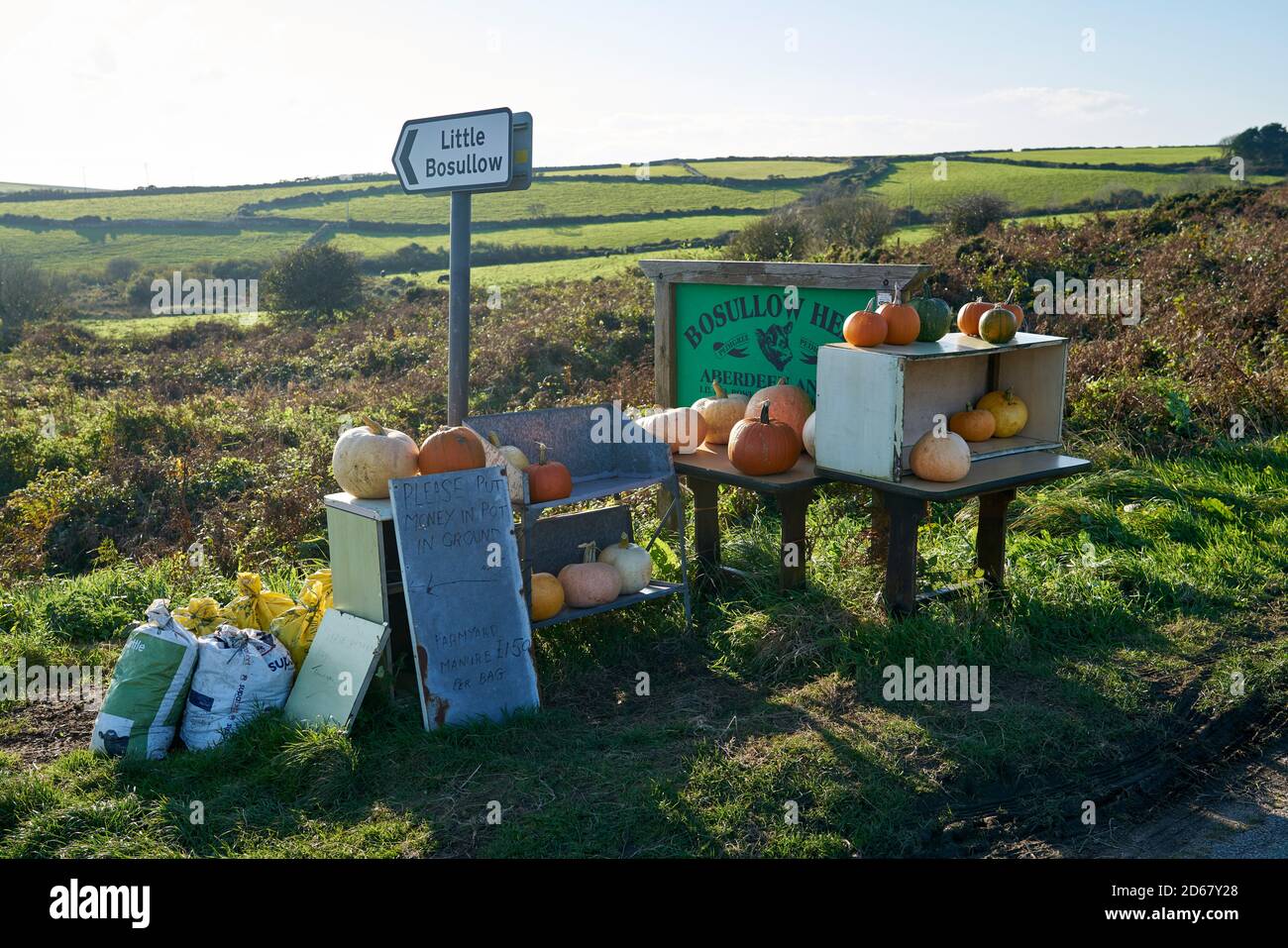 Farm roadside stall selling pumpkins , near Madron West Cornwall Stock ...