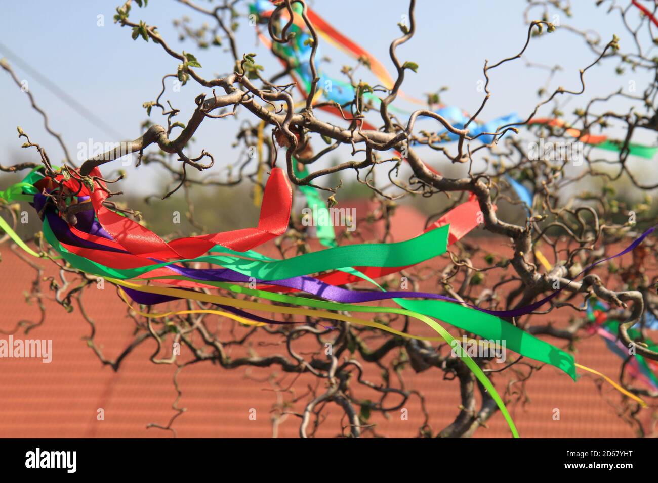 czech easter rods background (czech easter tradition Stock Photo - Alamy