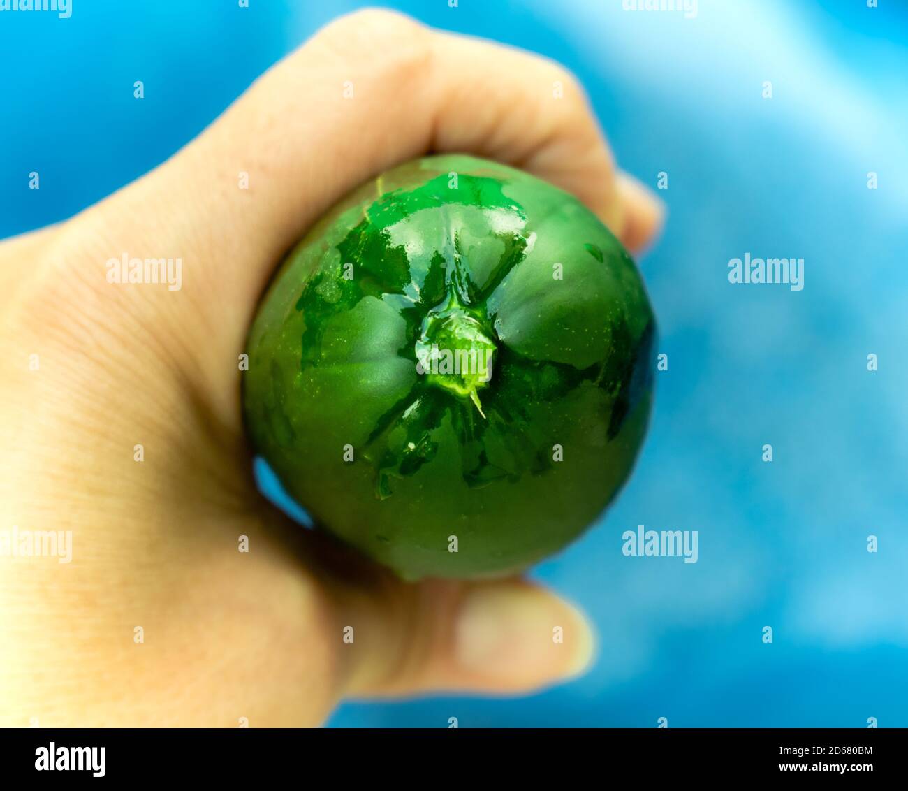 Freshly picked and washed cucumber held up by one hand Stock Photo - Alamy