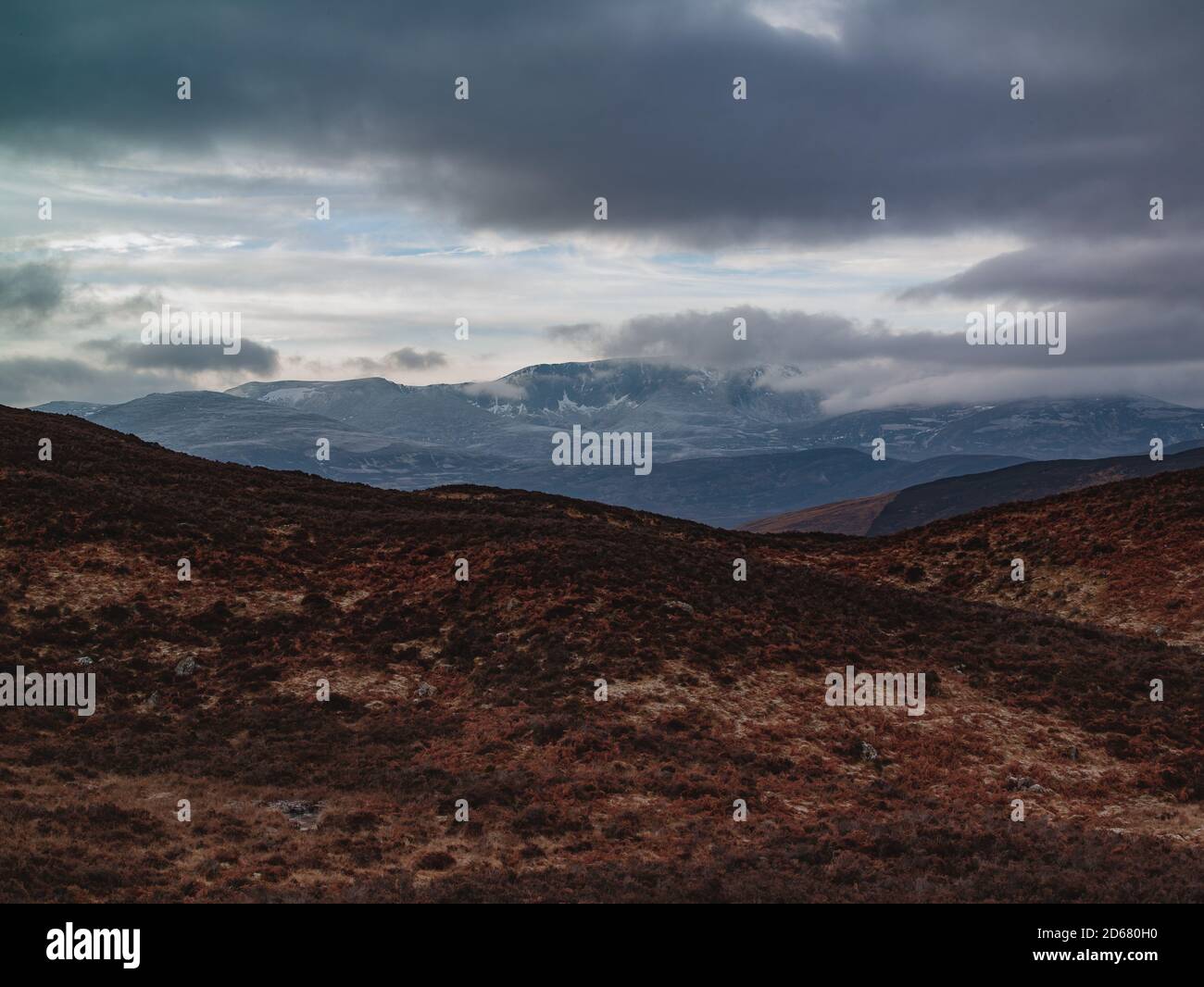 Purple setting names hi-res stock photography and images - Alamy