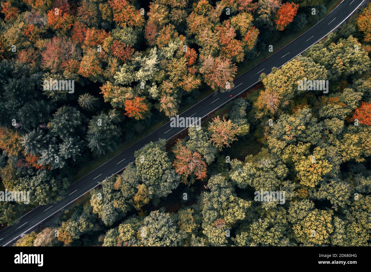 Aerial shot of a road surrounded by trees in a forest - perfect for ...