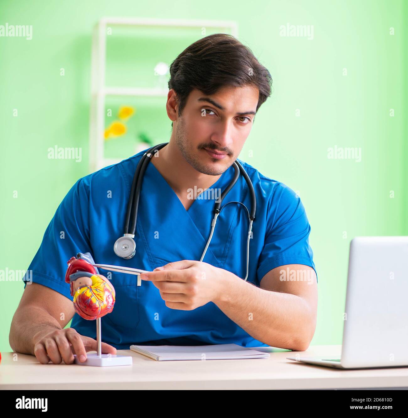 The doctor student explaining heart problems Stock Photo - Alamy
