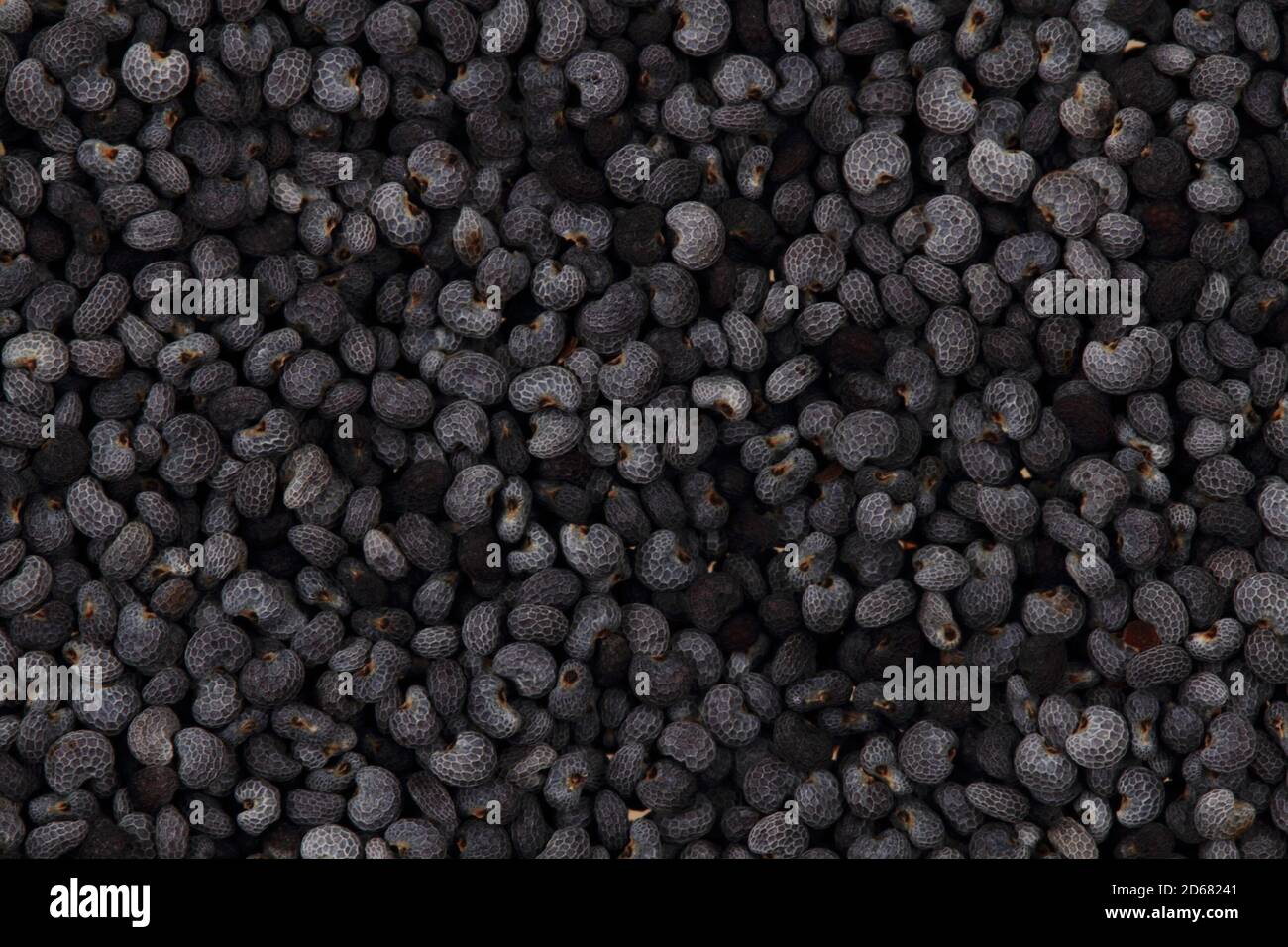 natural poppy seeds texture as nice natural background Stock Photo - Alamy