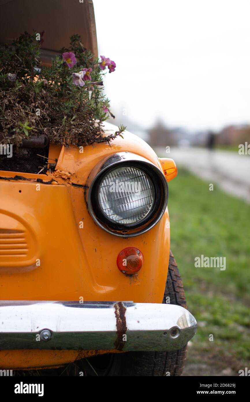 Old yellow car with round headlights and an open hood like a flower ...