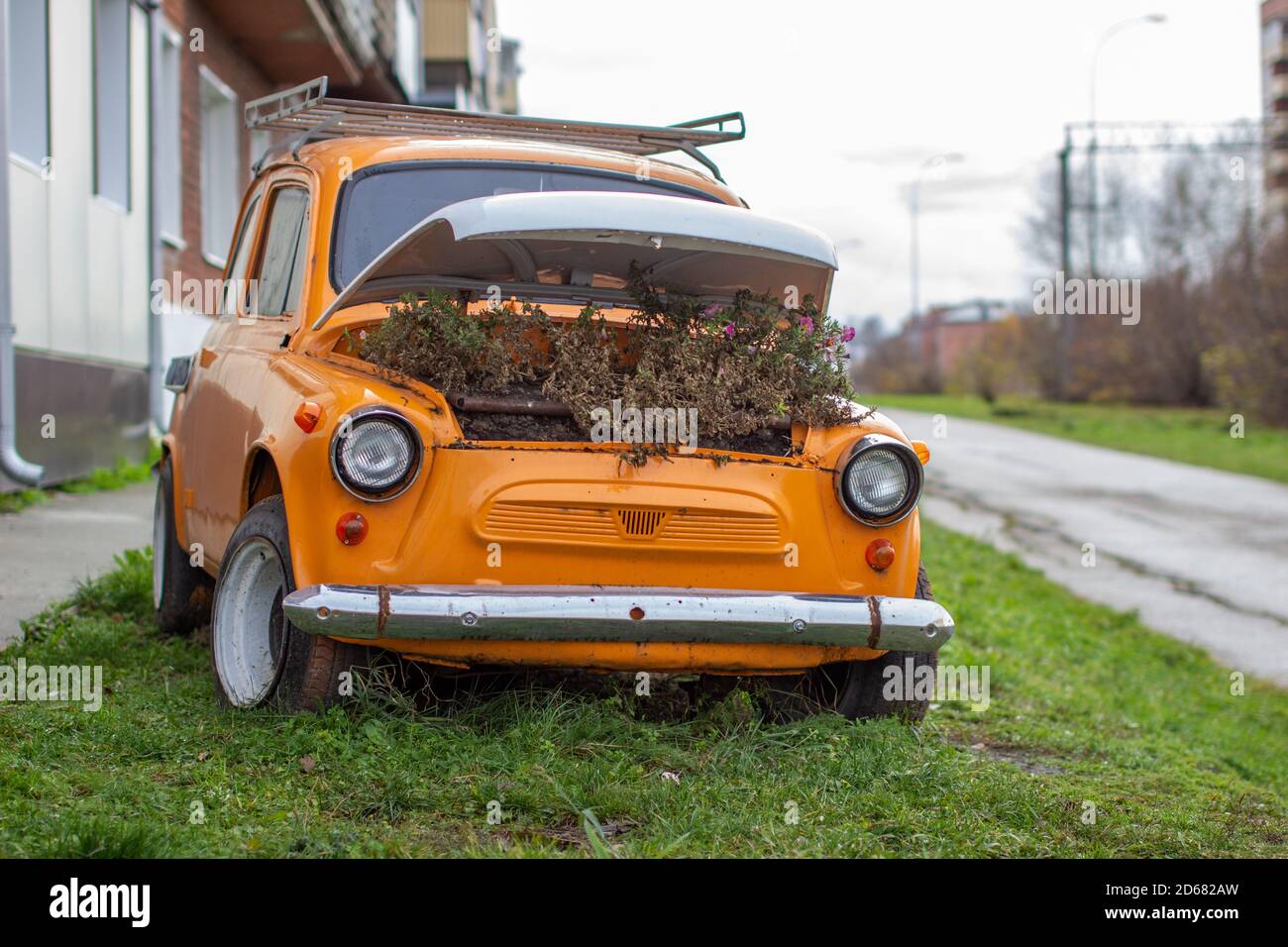 Old yellow car with round headlights and an open hood like a flower ...