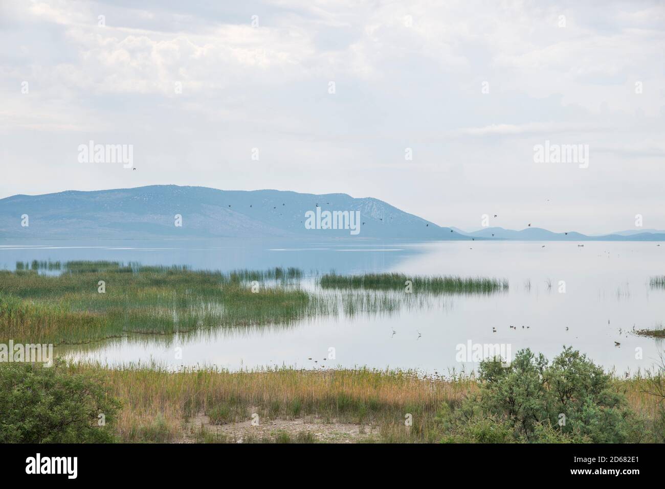 Lake Vrana (Vransko Jezero), Croatia Stock Photo - Alamy