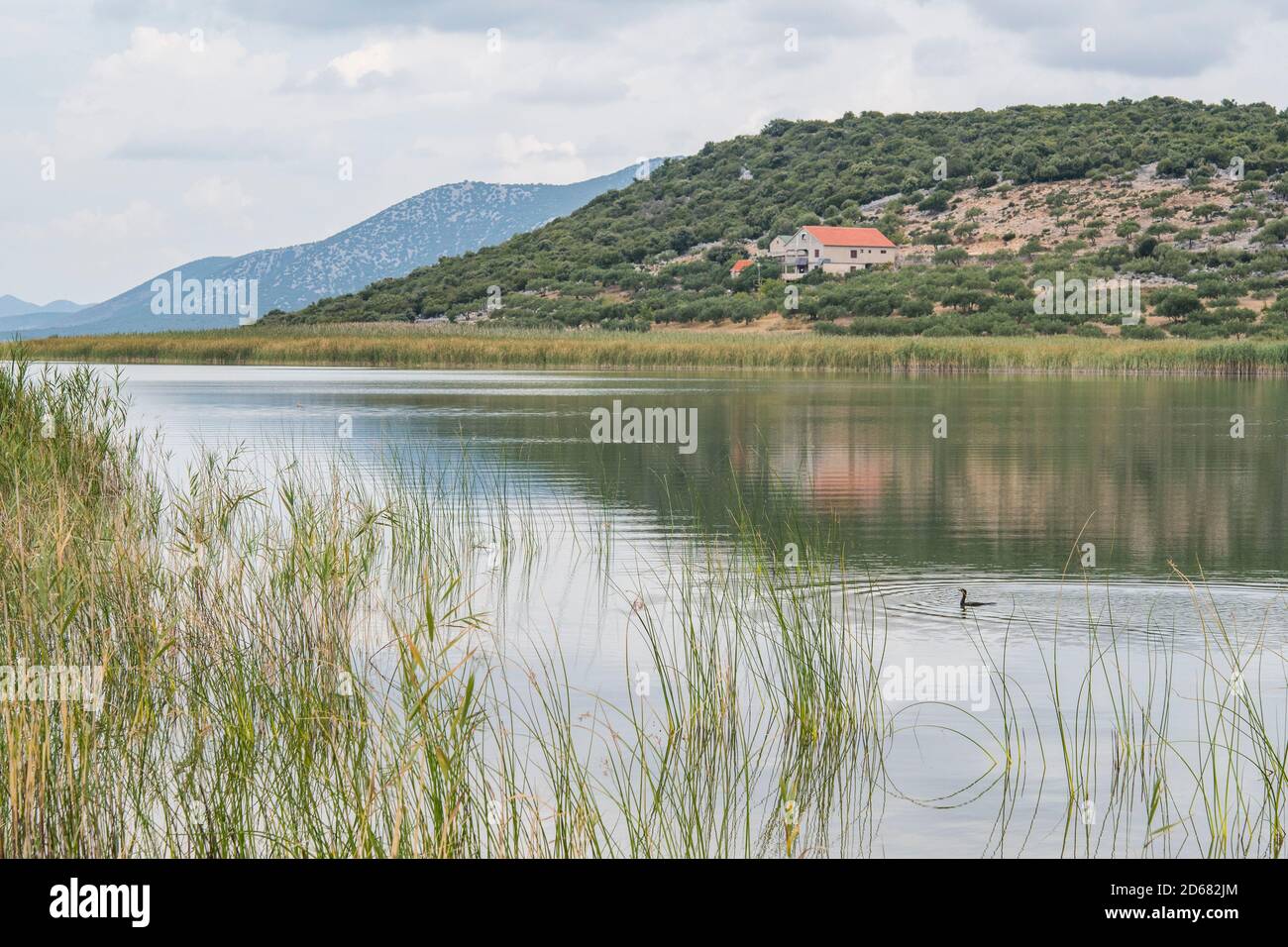 Lake Vrana (Vransko Jezero), Croatia Stock Photo - Alamy
