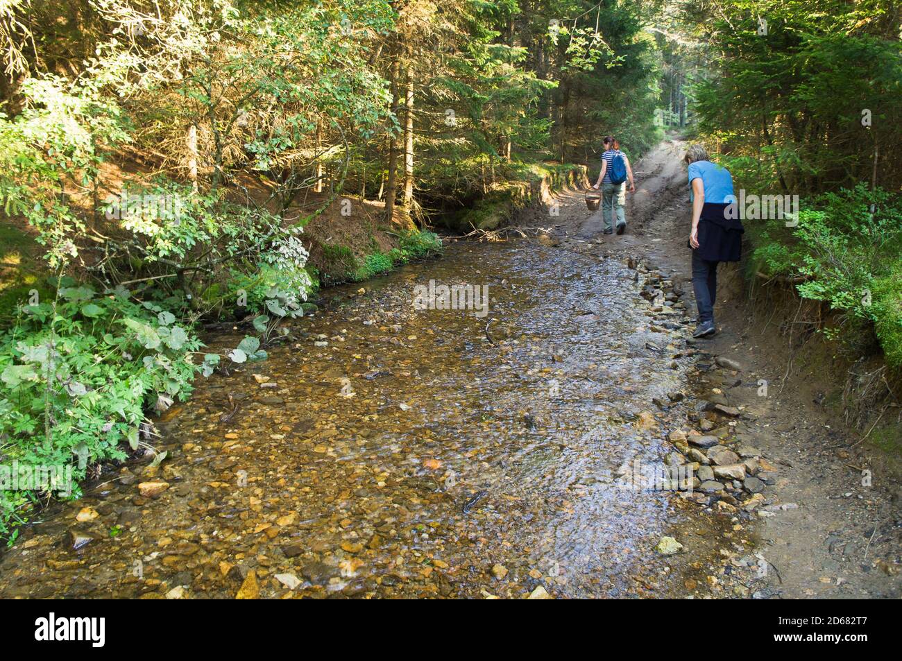 The Nature reserve Keply Wetlands, Sumava, Pilsen Region, Czech ...