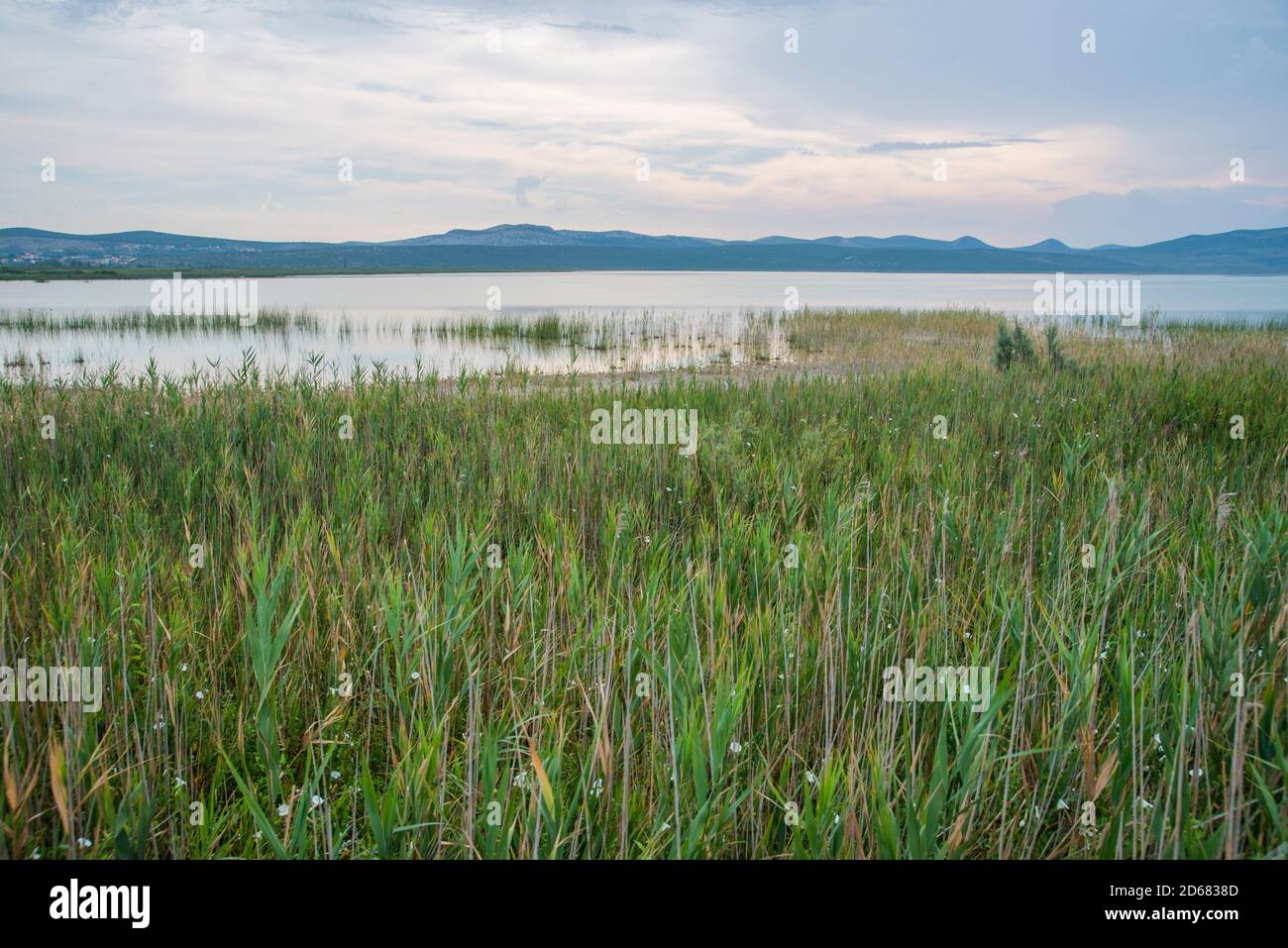 Lake Vrana (Vransko Jezero), Croatia Stock Photo - Alamy