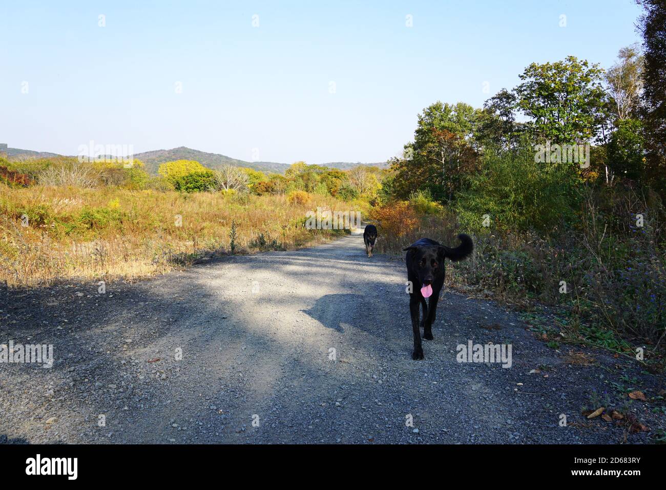 Roadside path pathway hi-res stock photography and images - Alamy