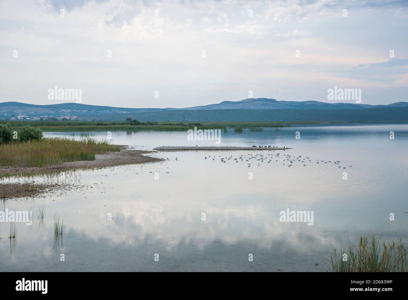 Lake Vrana (Vransko Jezero), Croatia Stock Photo - Alamy